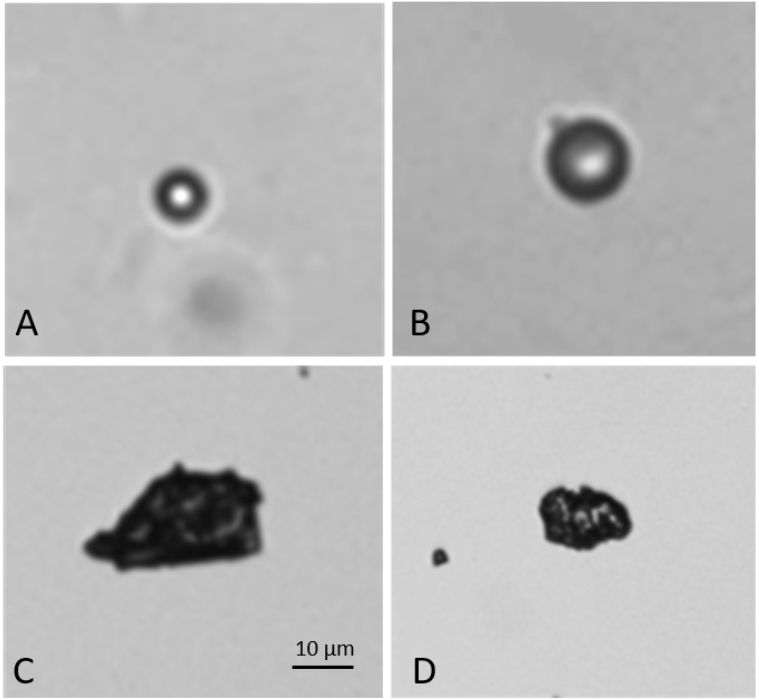 Hyperspectral Imaging Of Process Water - Hydroptics