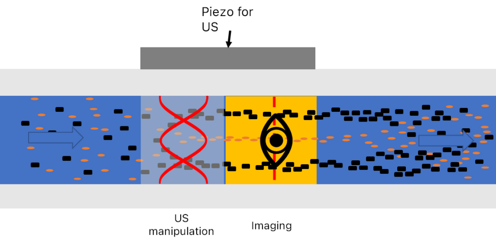 Particle manipulation with ultrasound waves - Hydroptics